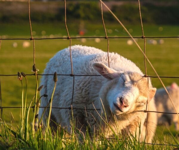 Getting Out of ANY Personal Rut • Shaunti Feldhahn